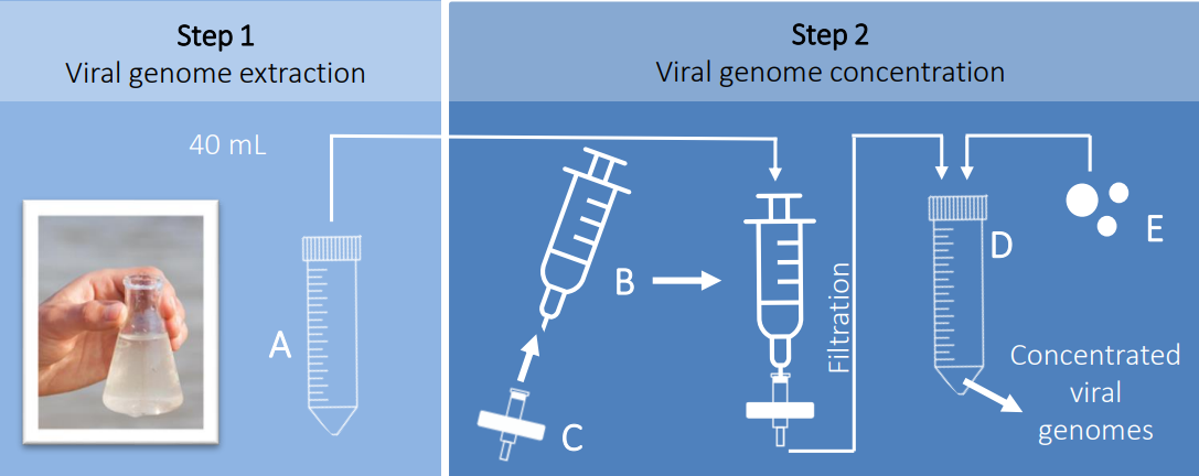 Water-transmitted viral pathogens collection kit - ABL Diagnostics S.A.
